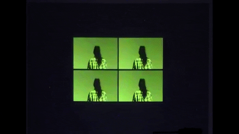 Auckland GIFs - Get the best GIF on GIPHY