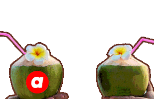 airasia GIFs on GIPHY - Be Animated