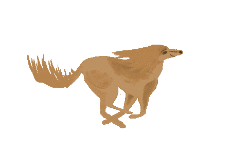 Transparent Dog Gif
