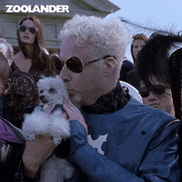 Will Ferrell Zoolander Gif