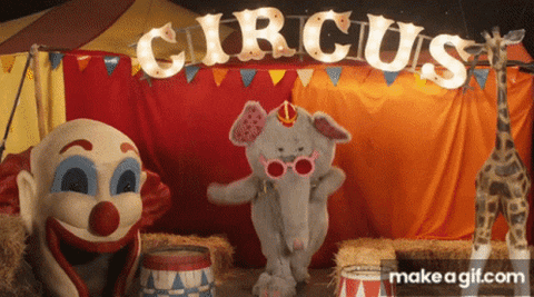 Circus GIF by memecandy - Find & Share on GIPHY