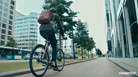 Brainsonbikes GIFs - Get the best GIF on GIPHY