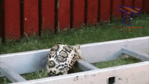 Overcoming Obstacles GIFs - Get the best GIF on GIPHY
