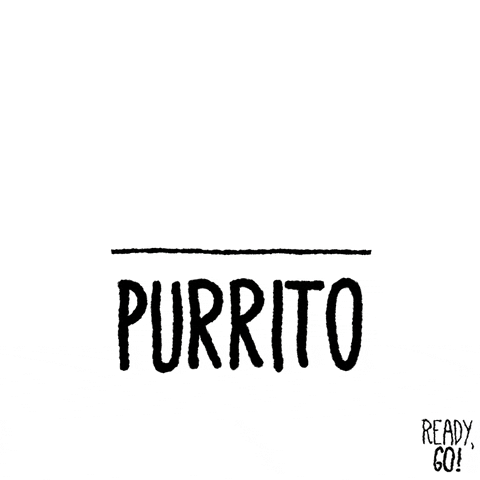 Purrito GIFs - Get the best GIF on GIPHY