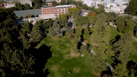 University Of California GIF by UC Davis - Find & Share on GIPHY