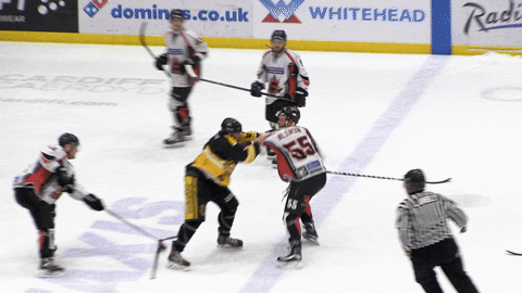 Ross Wilkinson GIFs - Get the best GIF on GIPHY