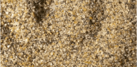 Beach Sand GIF by PBS Digital Studios - Find & Share on GIPHY