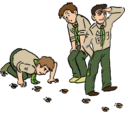 Scout Scouting Sticker by Magyar Cserkészszövetség for iOS & Android ...