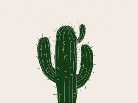 Cactus Animation GIFs - Find & Share on GIPHY