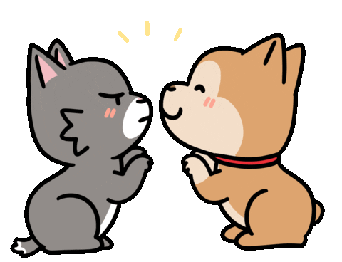 Cat And Dog Love Gif