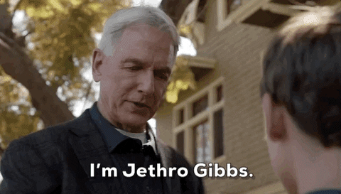 Ncis Meme Gibbs