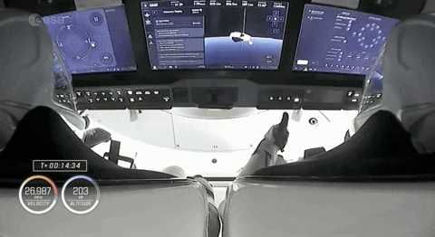 Crew Capsule GIFs - Get the best GIF on GIPHY