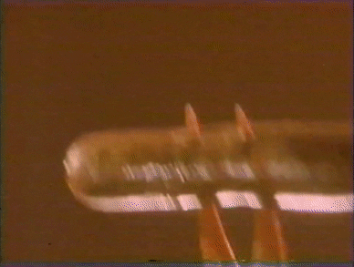 Hot Dog GIF - Find & Share on GIPHY