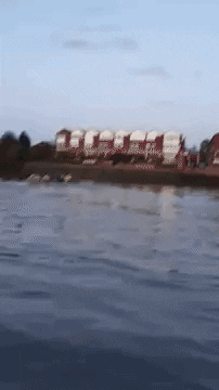 Rowing Tss GIF by Square Blades - Find & Share on GIPHY