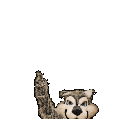 Alpha GIFs on GIPHY - Be Animated