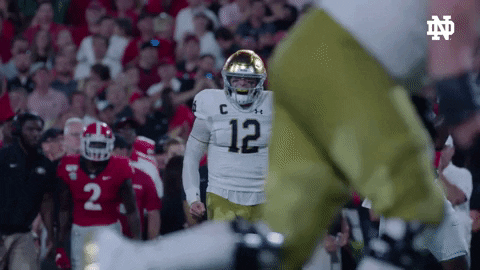 Notre Dame Quarterback GIF by Notre Dame Fighting Irish - Find & Share ...