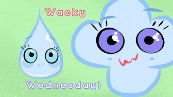 Wacky Wednesday GIFs - Find & Share on GIPHY