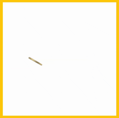 Flip-a-coin-day GIFs - Get the best GIF on GIPHY