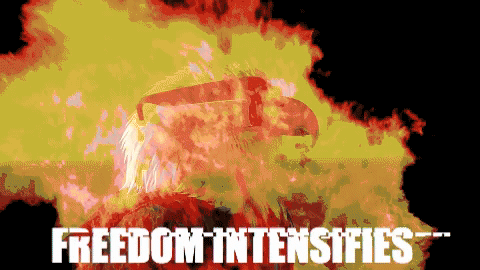Freedom Intensifies GIFs - Find & Share on GIPHY