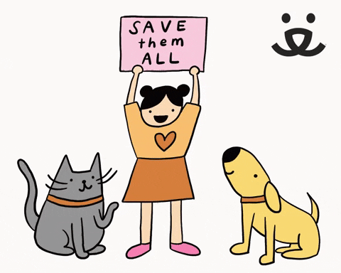 Cat Adopt GIF by Best Friends Animal Society - Find & Share on GIPHY