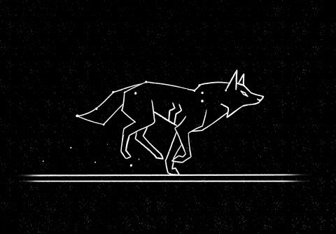 Wolf Running GIFs - Get the best GIF on GIPHY