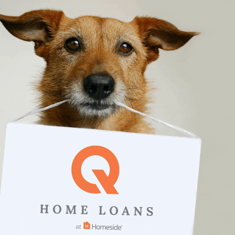 Q Home Loans GIF - Find & Share on GIPHY