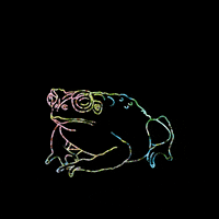Hypnotic Frog Gif