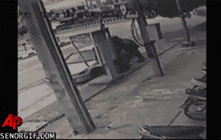 Carbomb GIFs - Get the best GIF on GIPHY