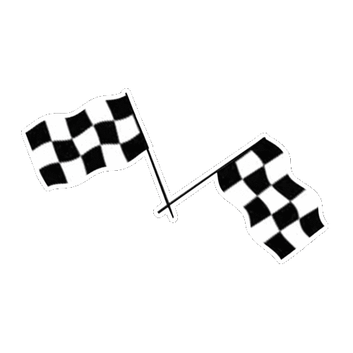 Animated Checkered Flag Gif