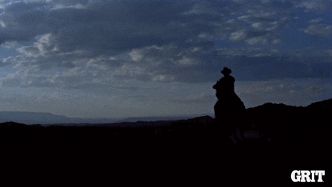 Old West Horse GIF by GritTV - Find & Share on GIPHY