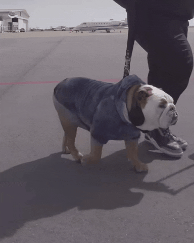 Butler University GIFs on GIPHY - Be Animated