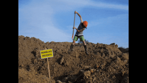 Recent GIFs - Get the best GIF on GIPHY