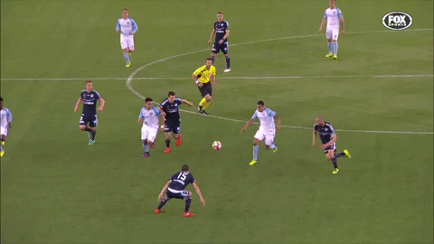 Australian Football GIF by Hyundai A-League - Find & Share on GIPHY