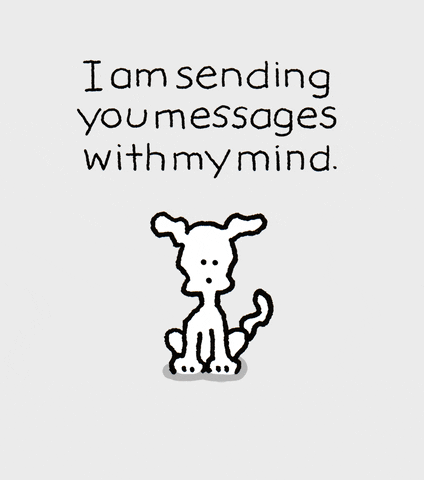 Messag GIFs - Get the best GIF on GIPHY