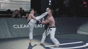 Karate Combat GIF - Find & Share on GIPHY