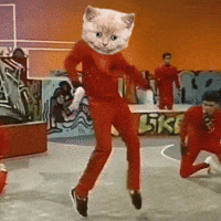 Breakdancing Cat Gif