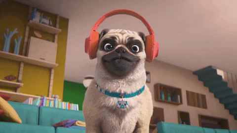 Job Well Done Animal Meme