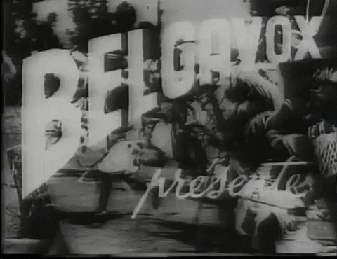 Belgavox GIFs - Get the best GIF on GIPHY