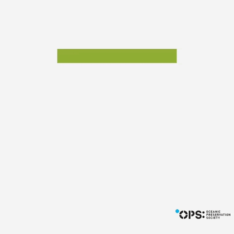 Veg-pledge GIFs - Get the best GIF on GIPHY