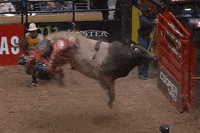 Mechanical Bull Riding Gif