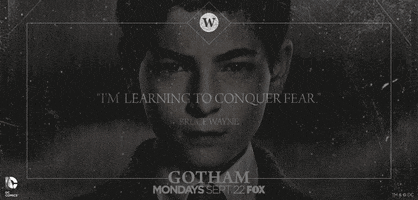 Bruce Wayne Gotham GIF by Fox TV - Find & Share on GIPHY