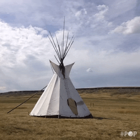 Tipi GIFs - Get the best GIF on GIPHY