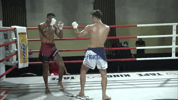Lethwei GIFs - Find & Share on GIPHY