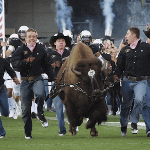 Cu Boulder GIFs - Get the best GIF on GIPHY