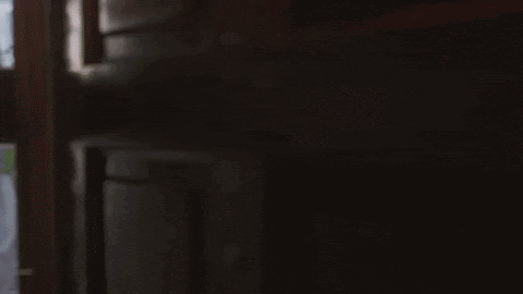 Proud Julius Caesar GIF by Checkatrade.com - Find & Share on GIPHY
