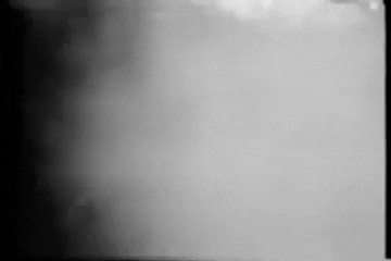 Fantastic Features GIFs - Get the best GIF on GIPHY