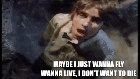 Maybe I Just Wanna Fly GIFs - Get the best GIF on GIPHY