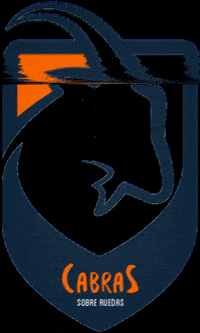 Gif De Mapache Cohete