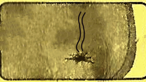 Sticky GIFs - Find & Share on GIPHY