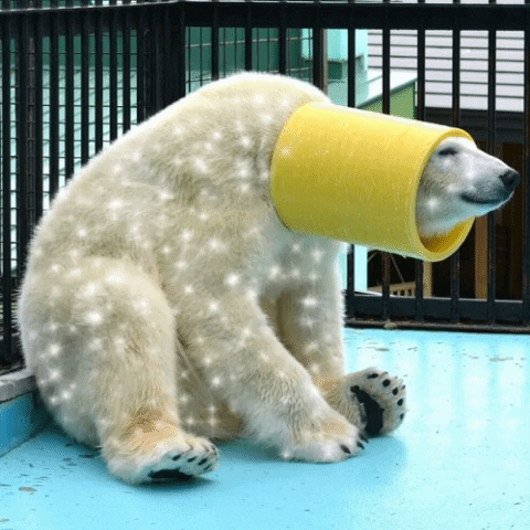 Cold Boi GIFs - Get the best GIF on GIPHY